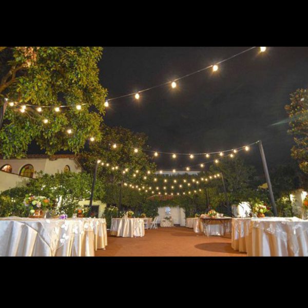 Carnival Lights | Festive Lights